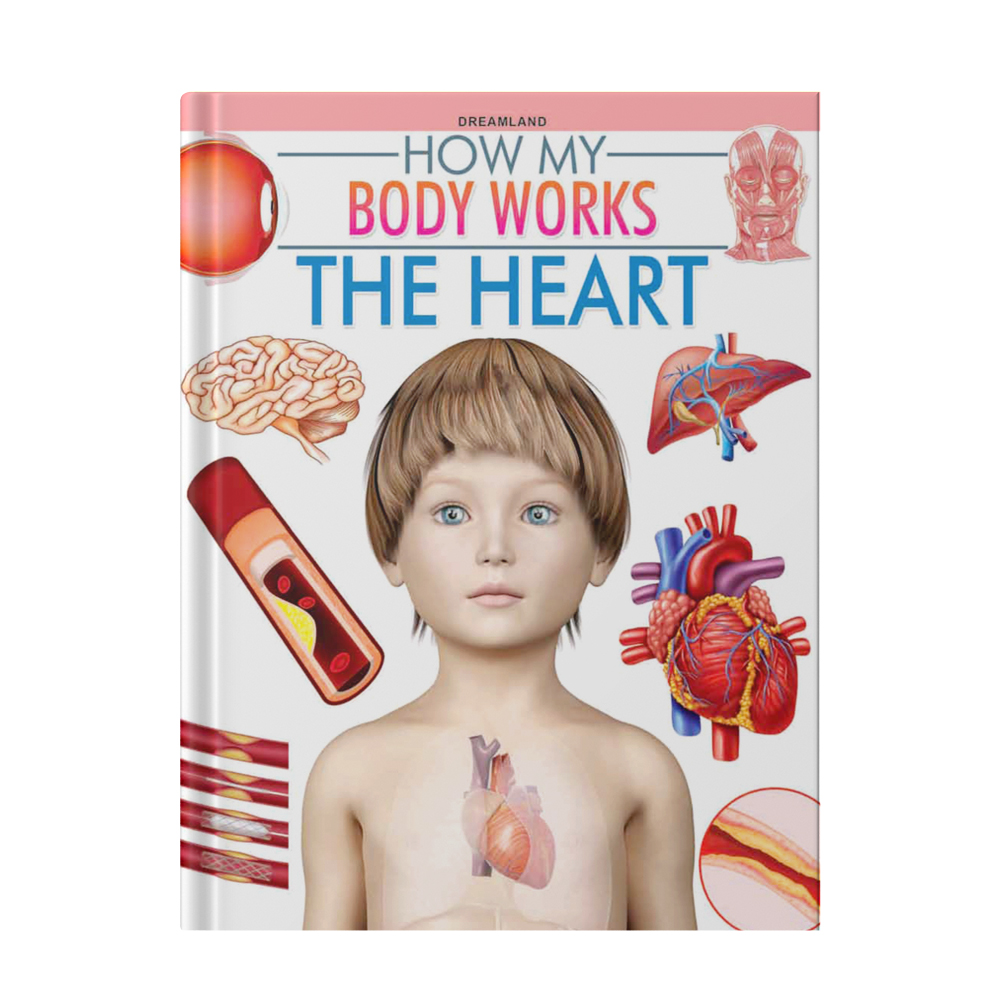 How My Body Works - The Heart For Kids Philippines